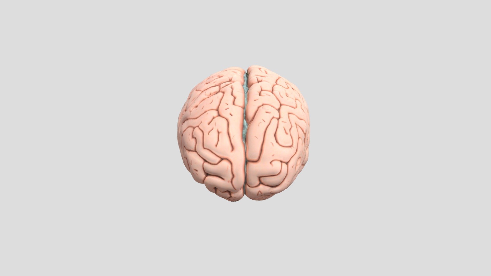 human brain in a lab - 3D model by Amir Saeid Dehghan (@amirsaeid ...