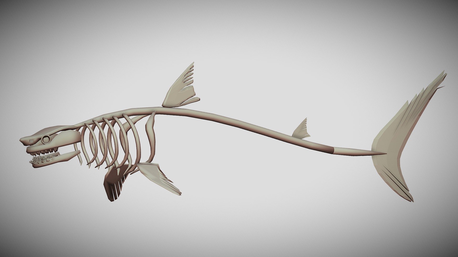 SharkBite Classic's Skeleshark - Download Free 3D model by ...