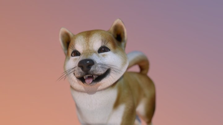 Shiba_inu 3D models - Sketchfab