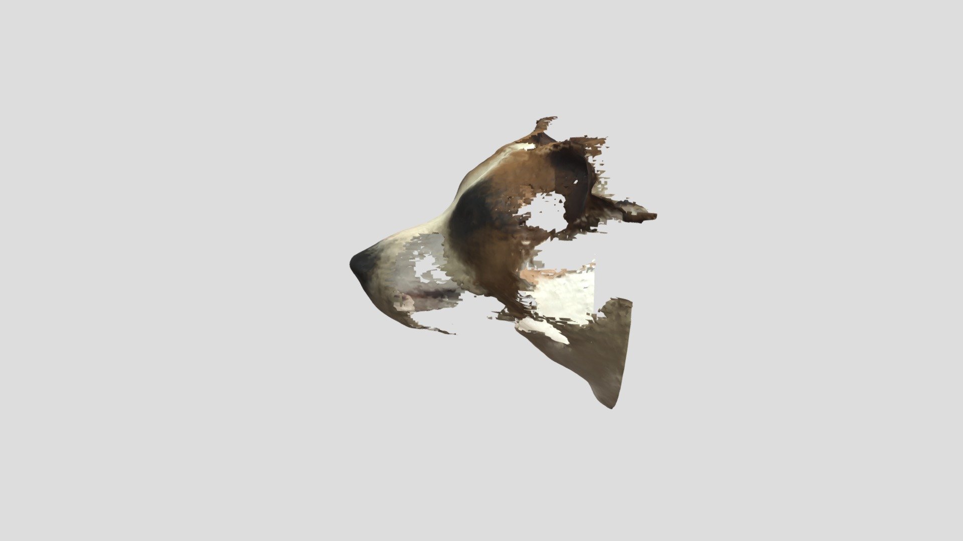 Meryl Snout/Face - Download Free 3D model by si77 (@plusdl) [788816f ...