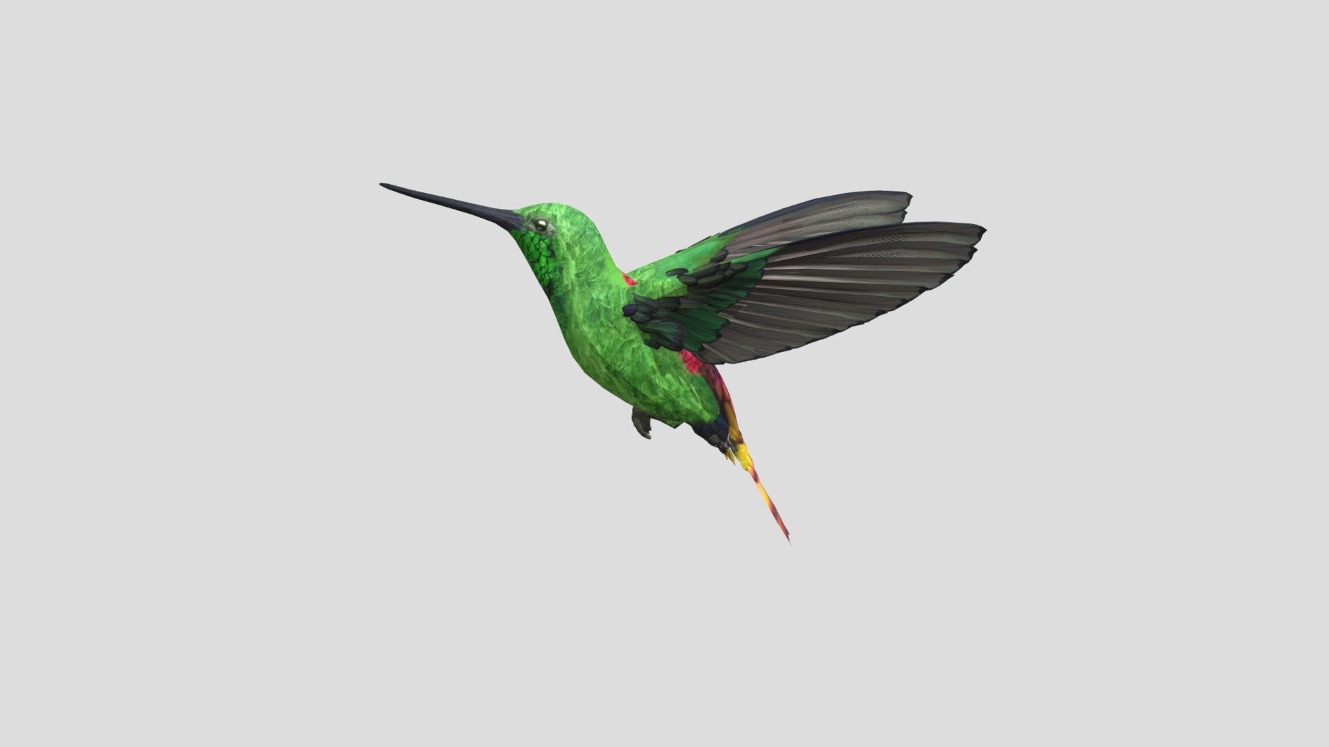 Red Tailed Comet Idle Animation - Download Free 3D model by Egypt VR ...