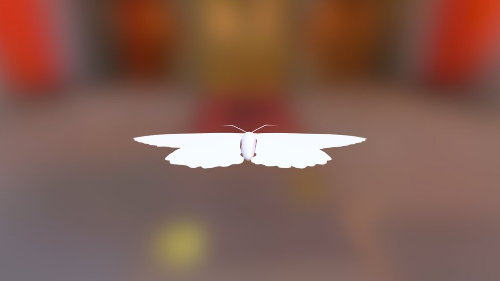 Moth - 3D model by Vault_764 [7891078] - Sketchfab