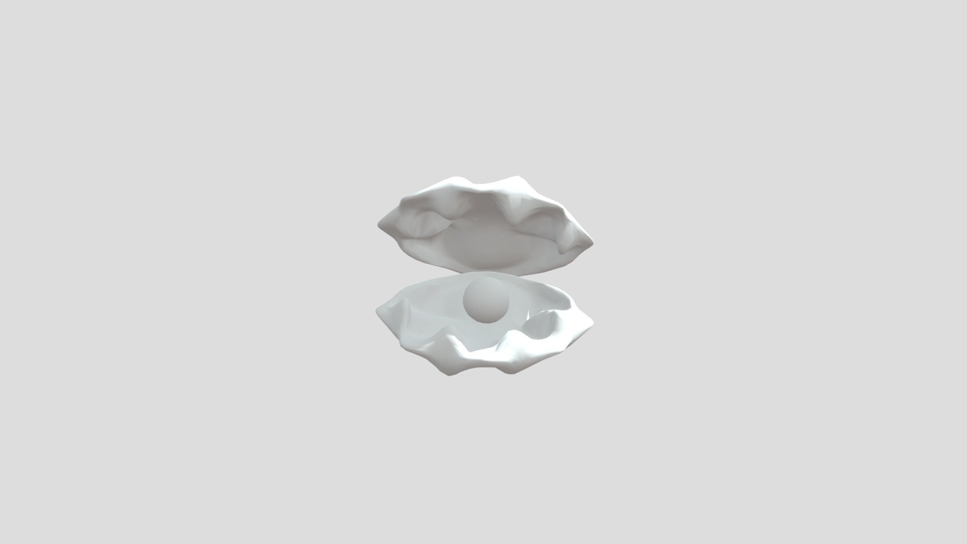 Shell - 3D model by Pengyu-Kelly (@s3797887) [78a0b9b] - Sketchfab