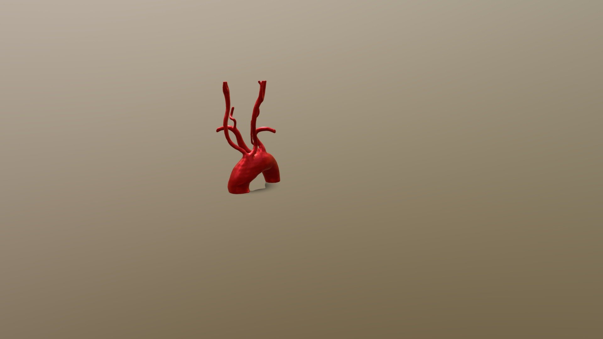 Aortic arch - 3D model by IPGeorgiev [78a662d] - Sketchfab