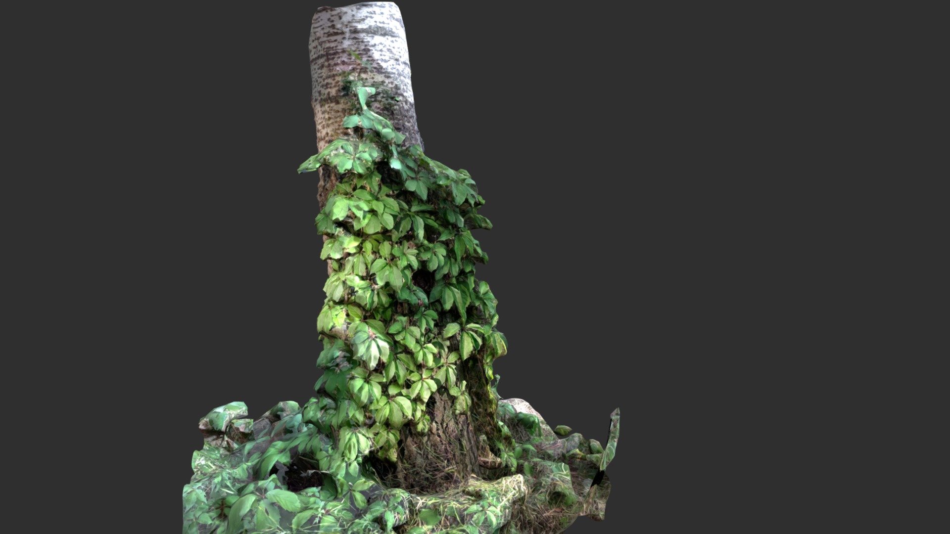 a piece of wood - Download Free 3D model by Viktor_ (@Viktor.Zhuravlev ...