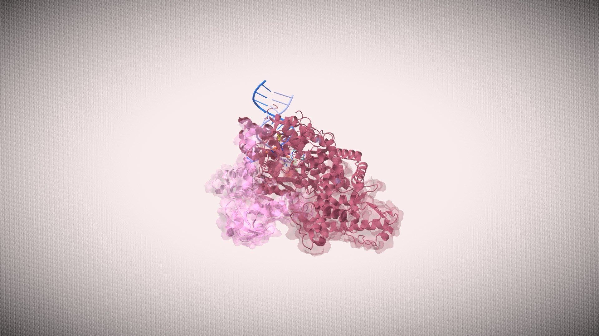 RNA-dependent RNA polymerase and Remdesivir - 3D model by ast4714 ...