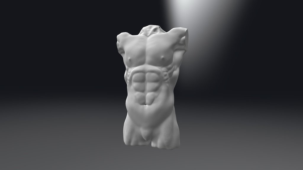 Torso - 3D model by Chris Schmidt (@ChrisSchmidtW) [78acb4a] - Sketchfab