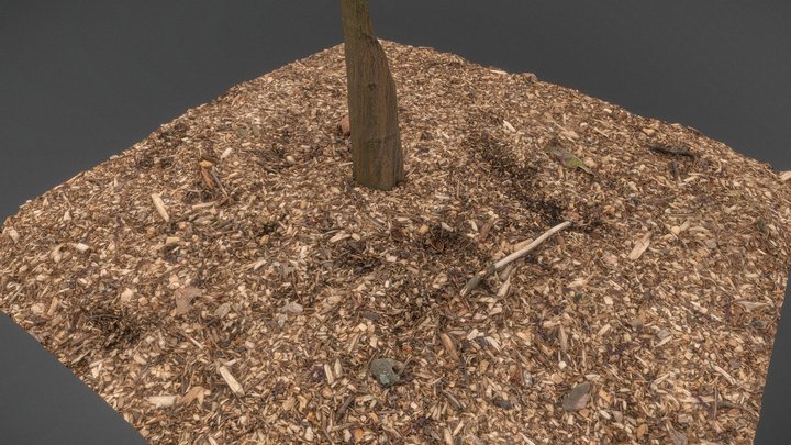 Soil 3D models - Sketchfab
