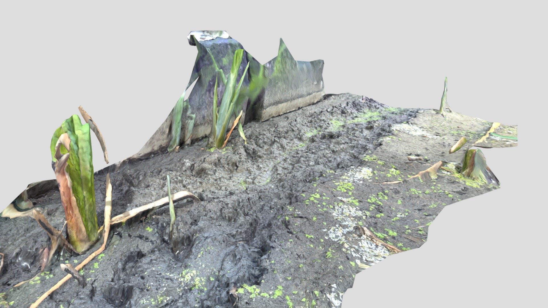 Turtle Track - Download Free 3D model by scbenoit [78bcde1] - Sketchfab