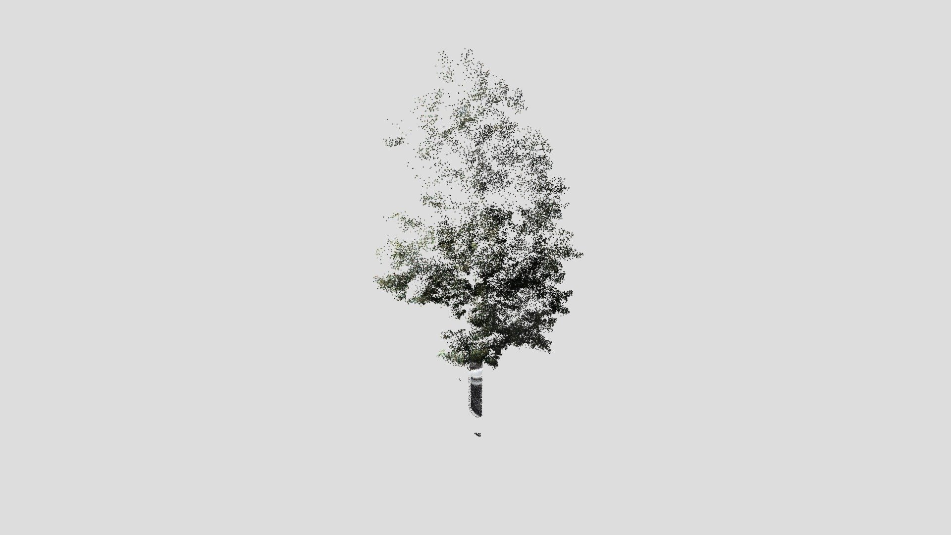 tree6-pointcloud - 3D model by Nodai_Kunii_Lab (@mmsroadsidetree ...