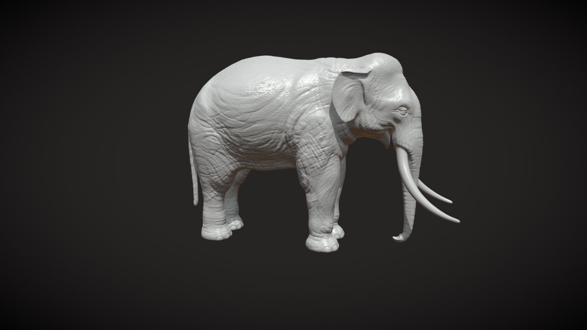 Indian Elephant PR - 3D model by Skazok [78cdce7] - Sketchfab