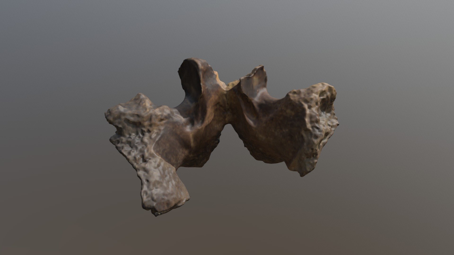 Mastodon Vertebra (VCU_3D_3789) - 3D model by Virtual Curation Lab ...