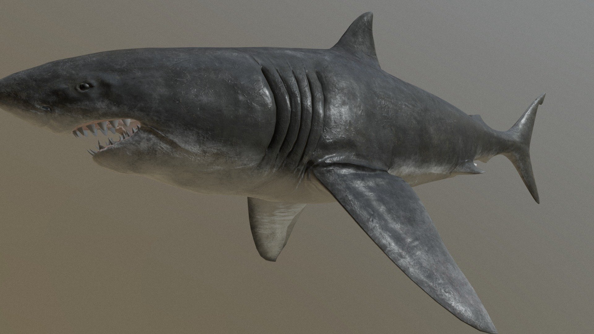Greatwhite Shark - Buy Royalty Free 3D model by saecong [78d8b34 ...