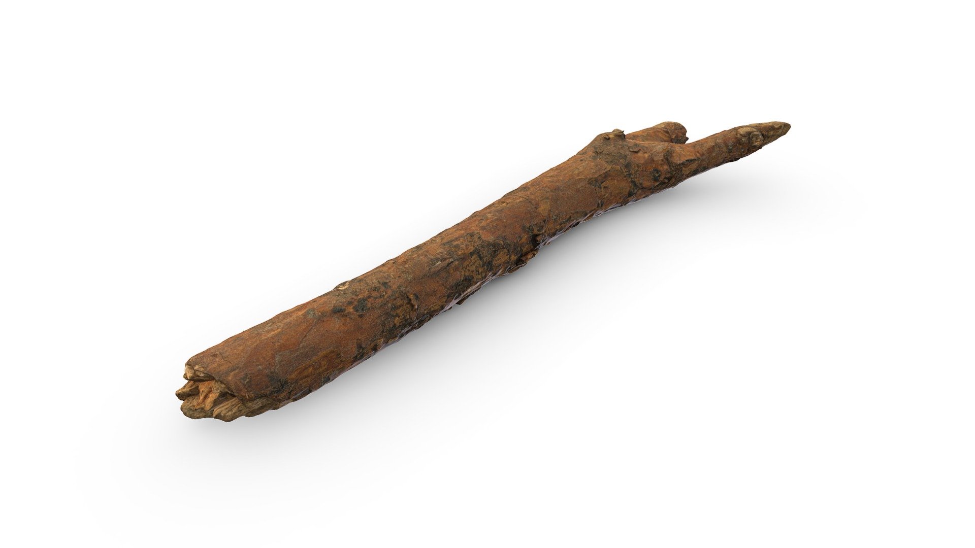 Forest Stick - 3D model by RawCatalog.com (@rawcatalog) [78d8da6 ...