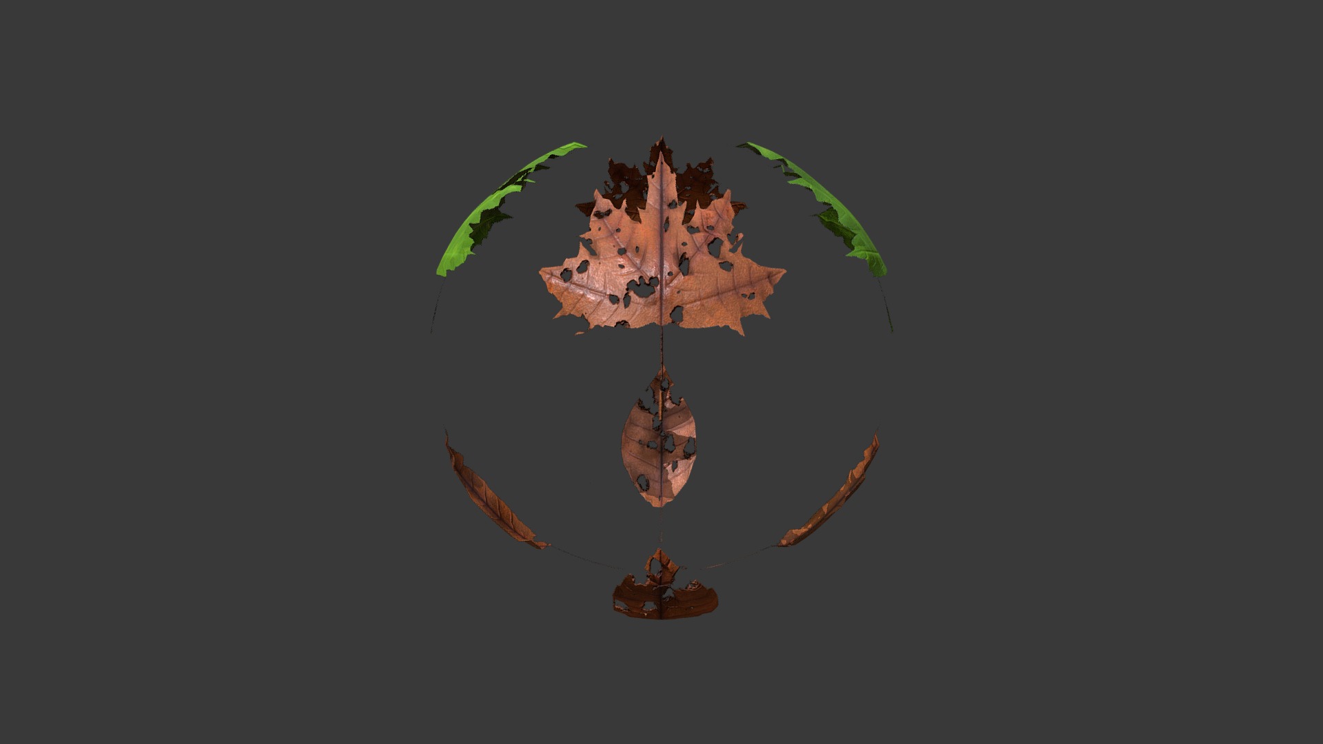 Leaf Generator - 3D model by Connor Reynolds (@connorreynolds21 ...