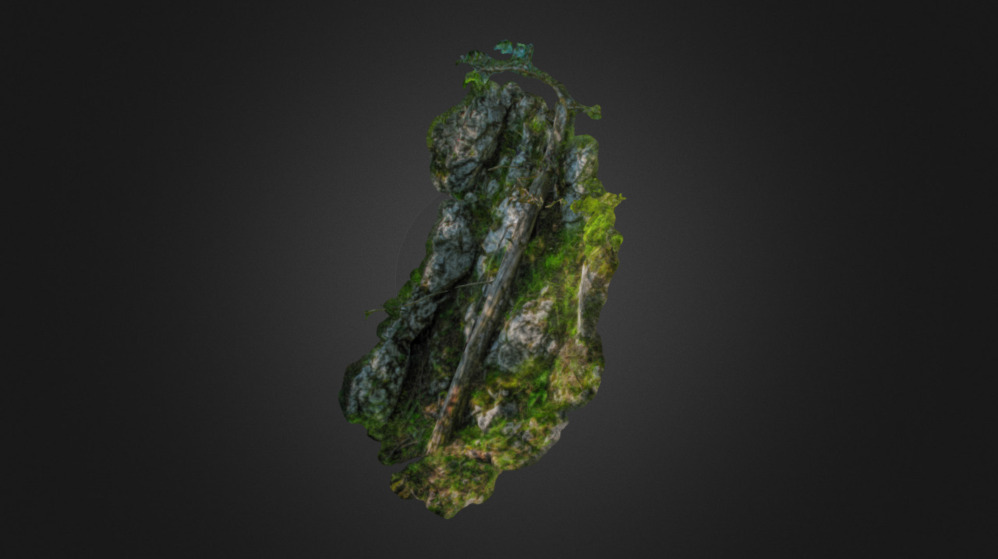 Broken tree - 3D model by SenYul [78dc664] - Sketchfab