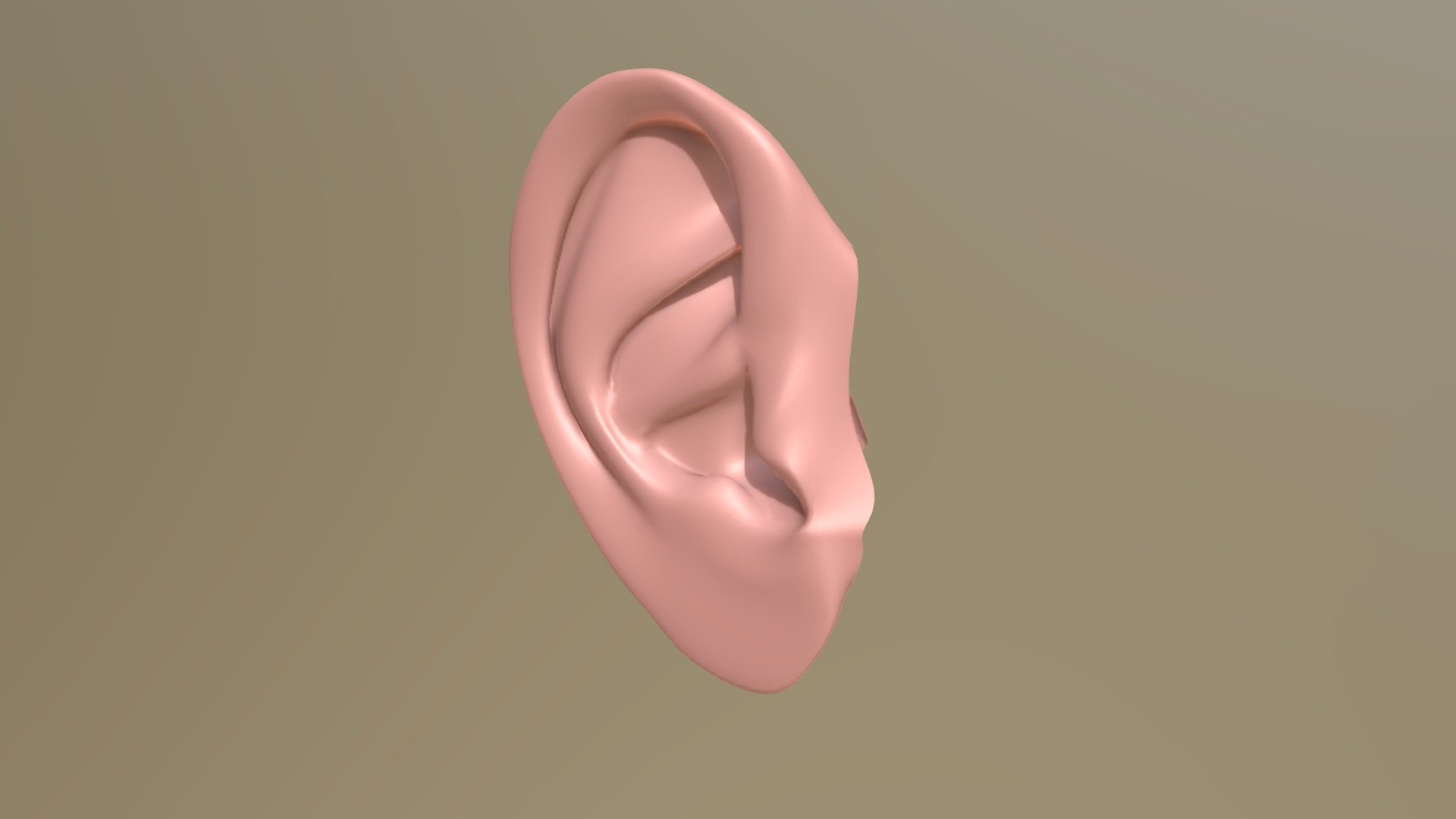 Human Ear - Download Free 3D model by Skeindem [78df535] - Sketchfab