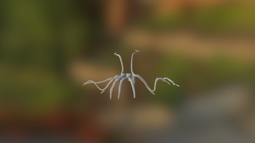 Artery - 3D model by cslax04 [78e2832] - Sketchfab