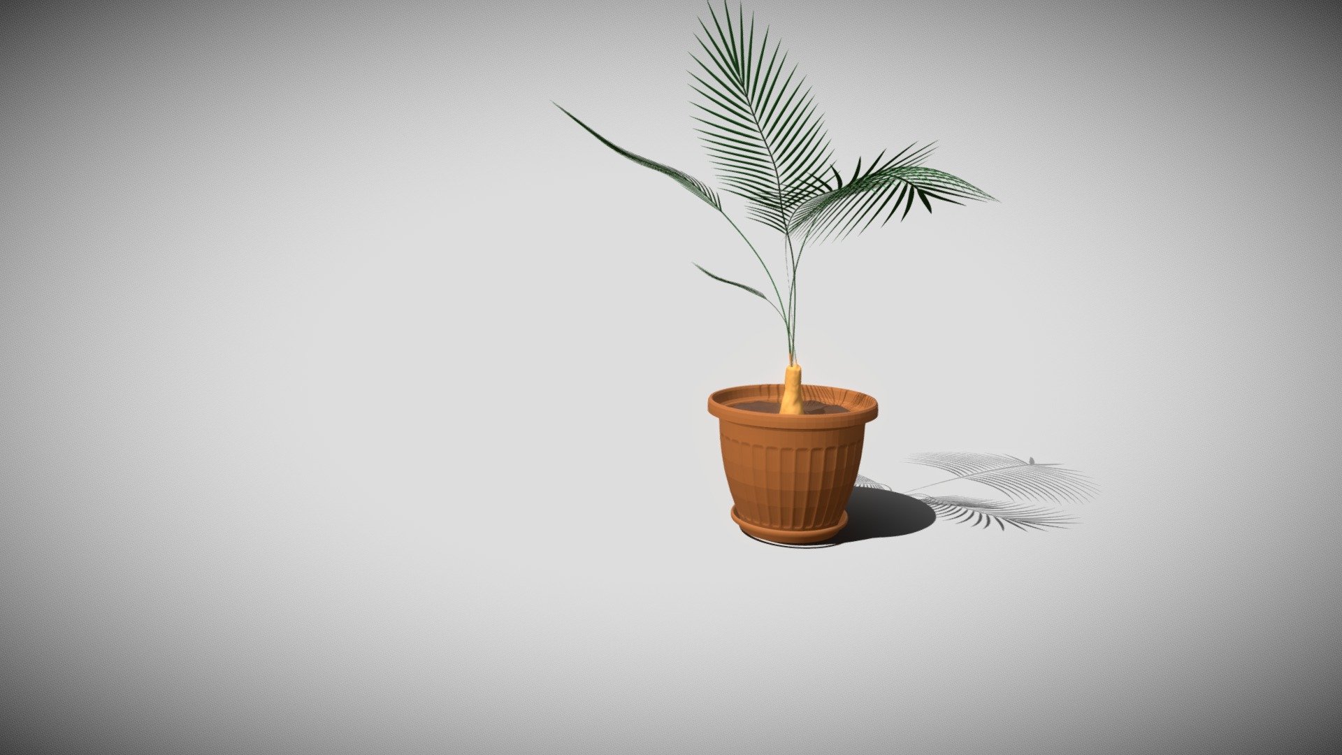 Small palm - Download Free 3D model by slavashatrovoy [78e36be] - Sketchfab