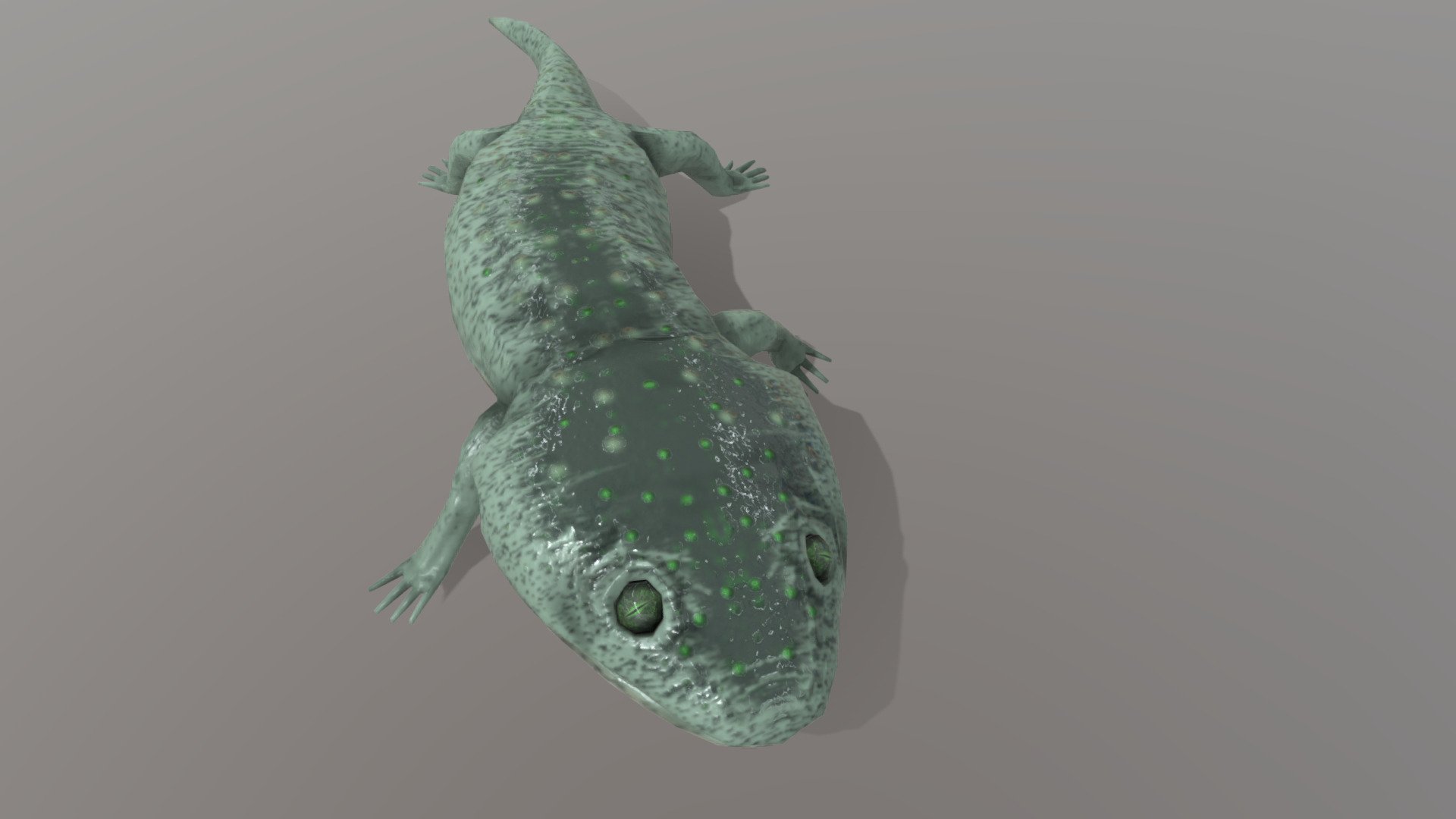 Amphibamus - 3D model by Paleobiome [78e5140] - Sketchfab