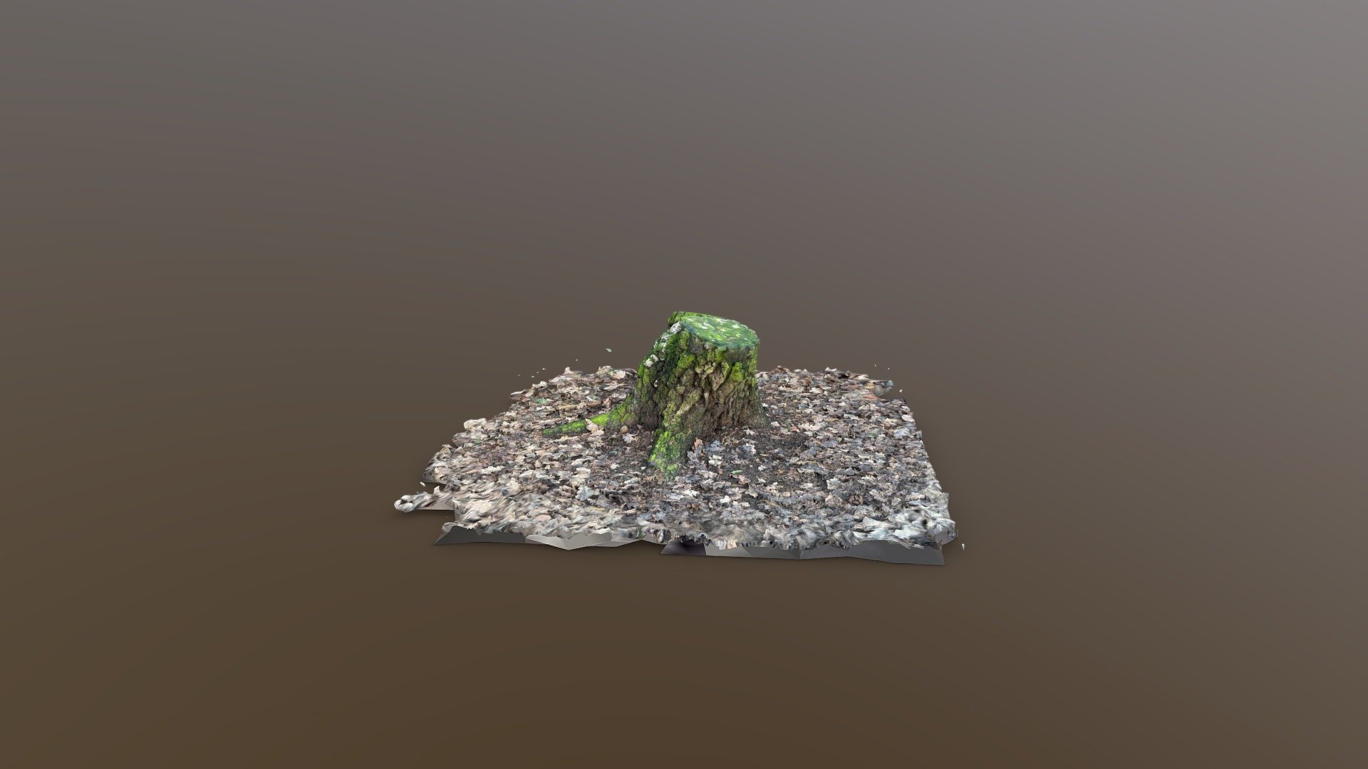 Oak tree stump - 3D model by elms64 [78f5578] - Sketchfab