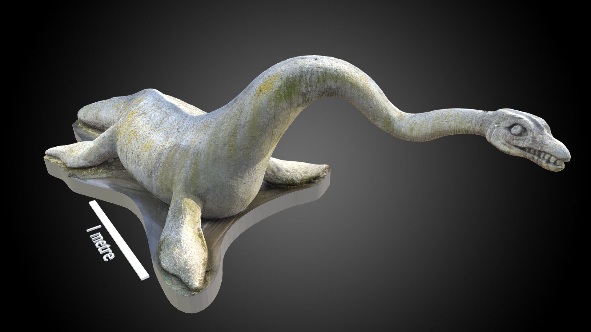 10 ‘Plesiosaurus’ macrocephalus - 3D model by Historic England ...