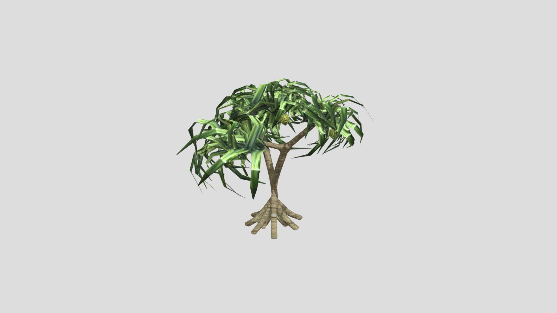 CCVR Lauhala Tree - Download Free 3D model by keoni1 [78f818c] - Sketchfab