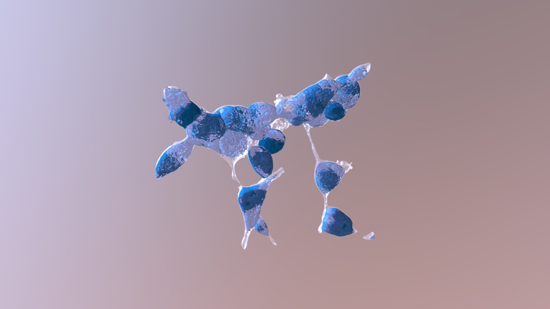 Prostate Cancer Cells - Download Free 3D model by XR Life Science (@GLS ...