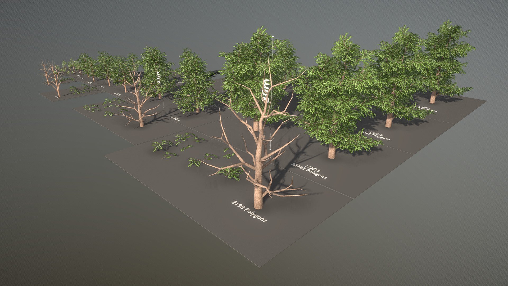 Empress-Tree (30 meter update) - Buy Royalty Free 3D model by VIS-All ...