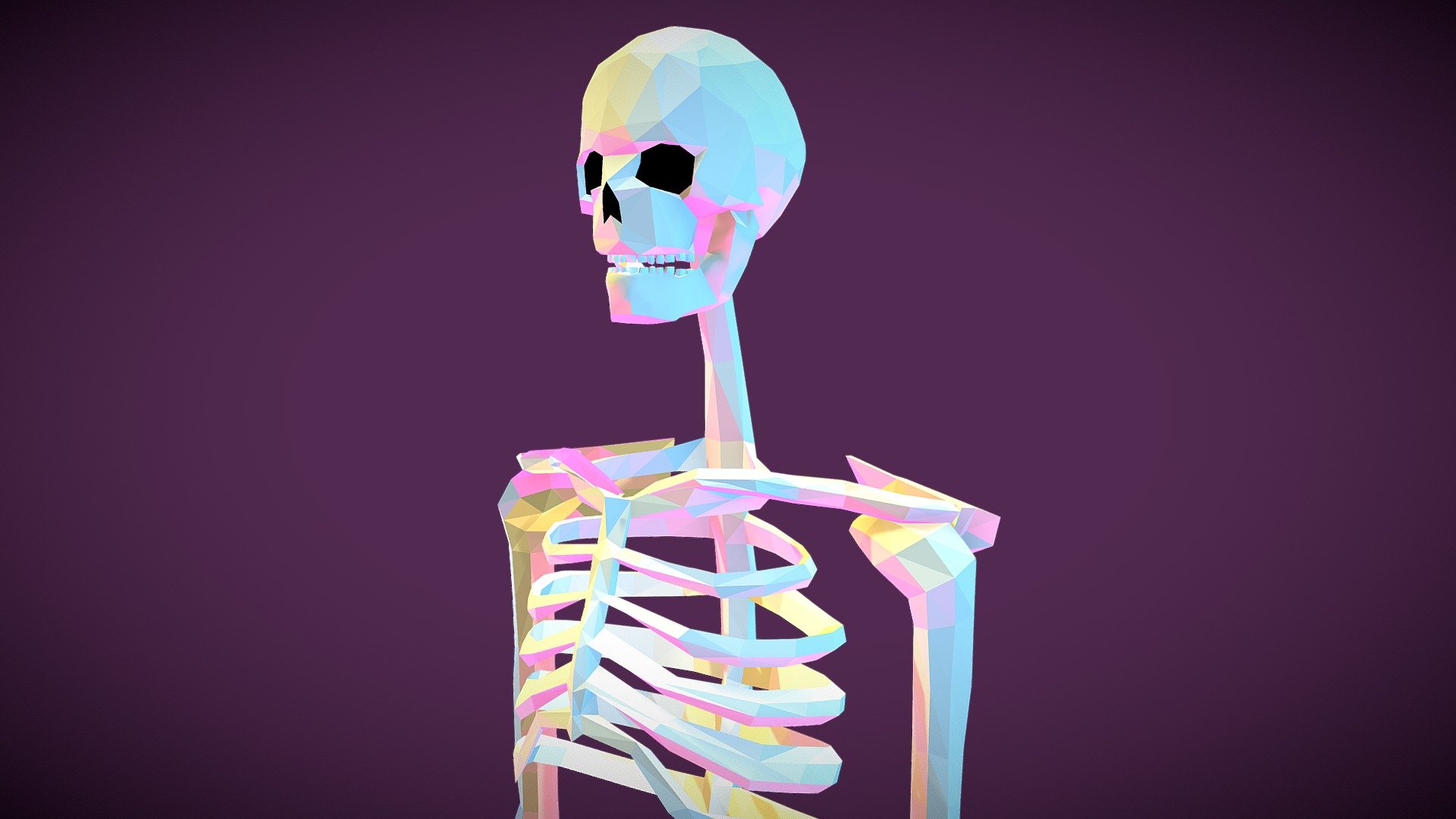 Stylized Human Skeleton Rig - 3D model by lukedobbs [790da19] - Sketchfab