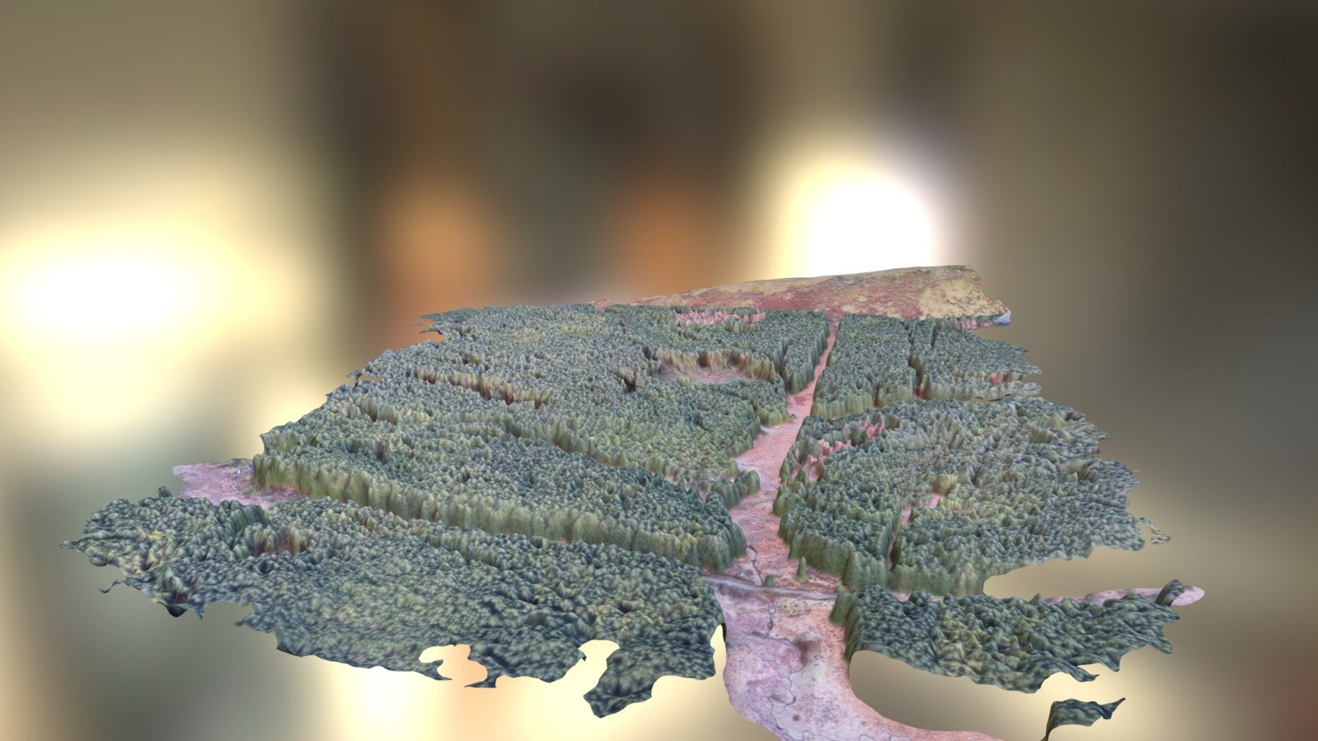 Forestry sample data set - 3D model by UAV Scotland (@uavscotland ...