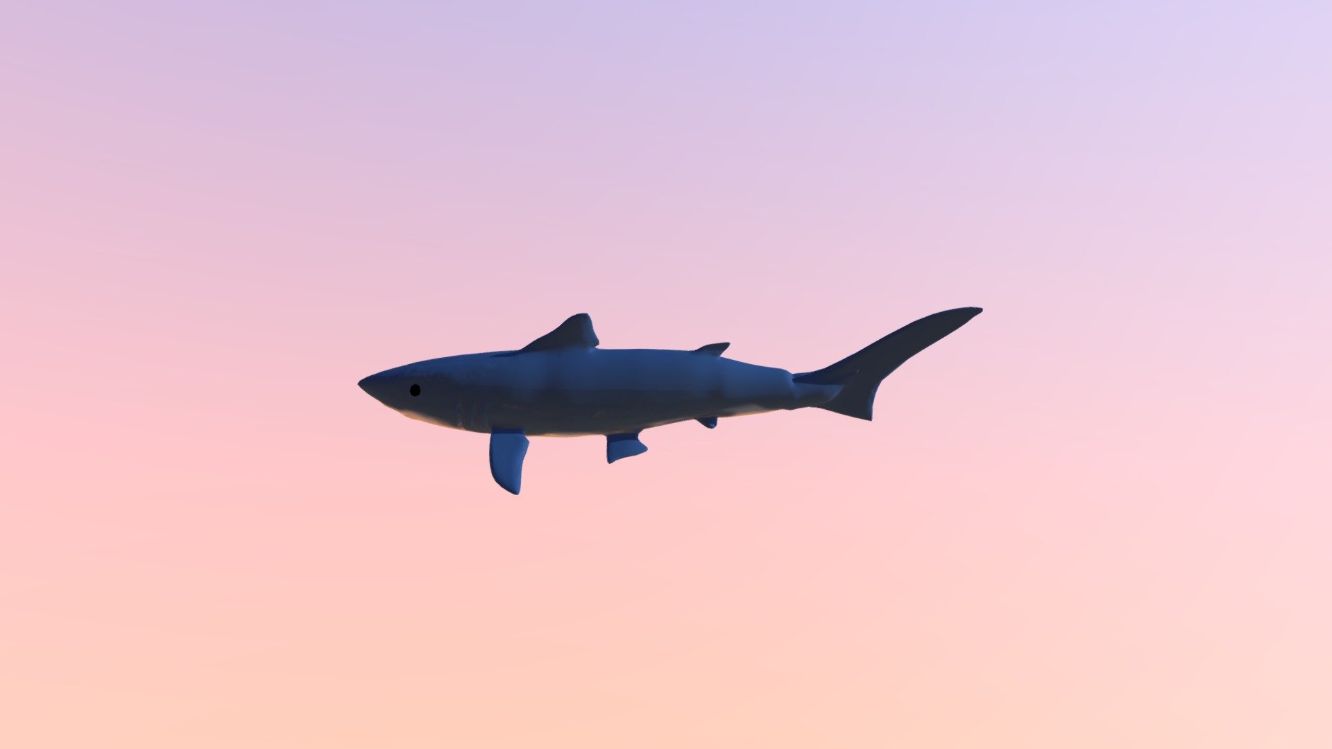 Shark - 3D model by Vergil.Lin [79178cd] - Sketchfab