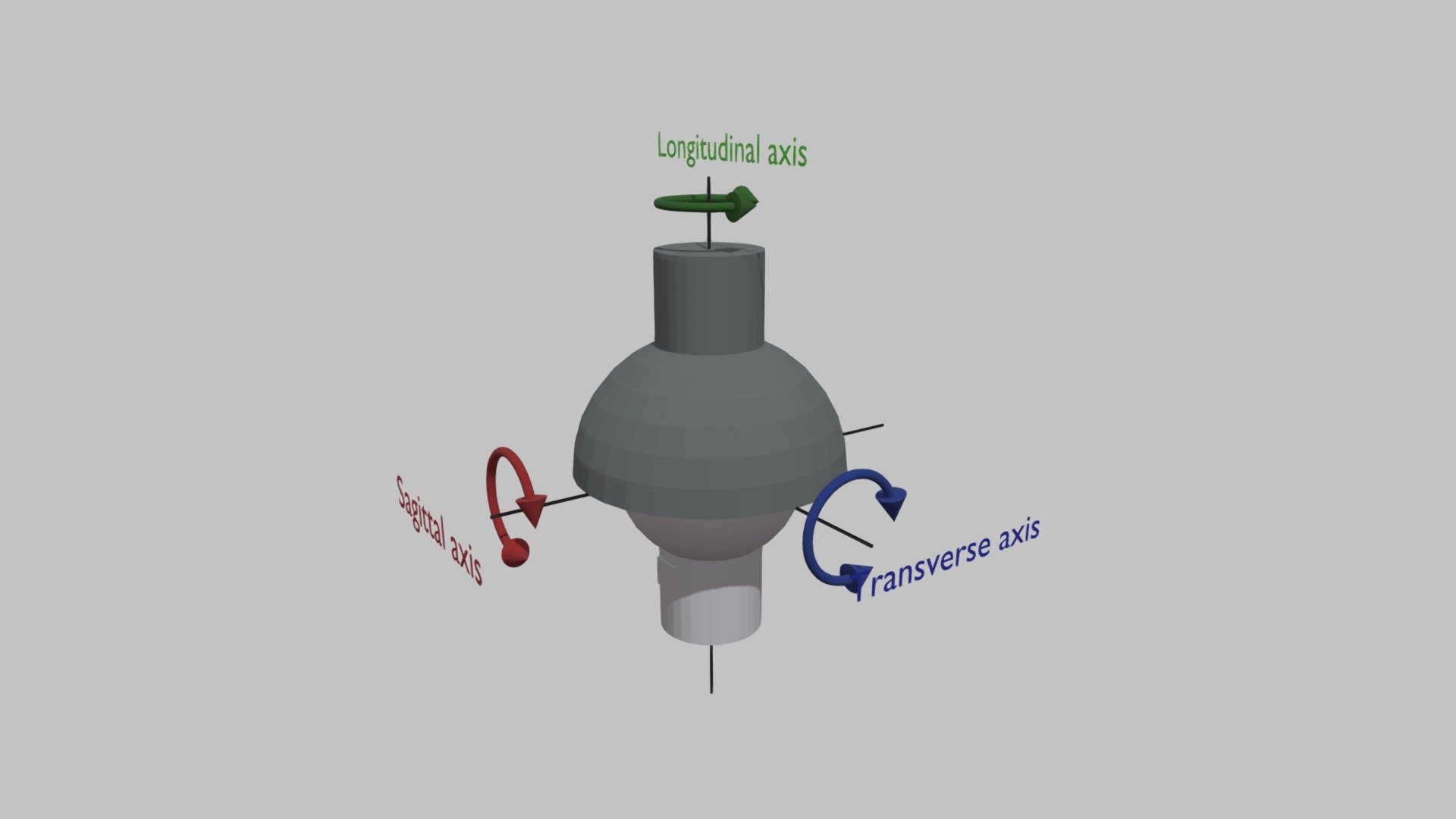 Spheroid joint, ball-and-socket joint - 3D model by vetanatMunich ...