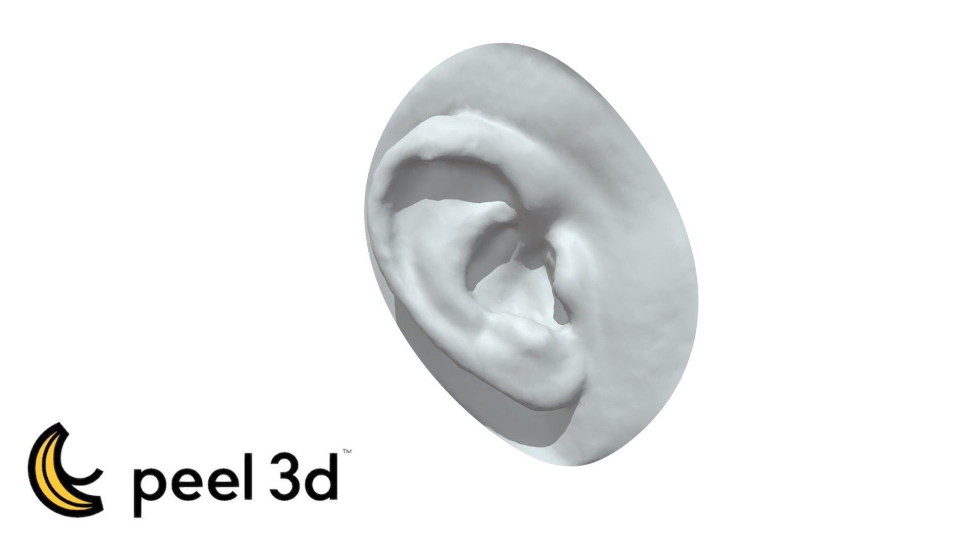 Human ear with peel 3d - Download Free 3D model by peel-3d.com [7921e85 ...