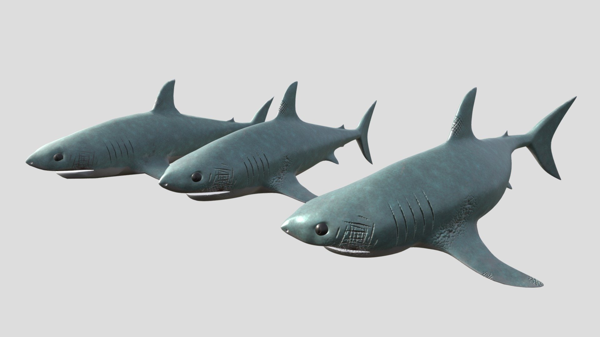 shark_P_2 - 3D model by CelsoMotta [7922fcd] - Sketchfab