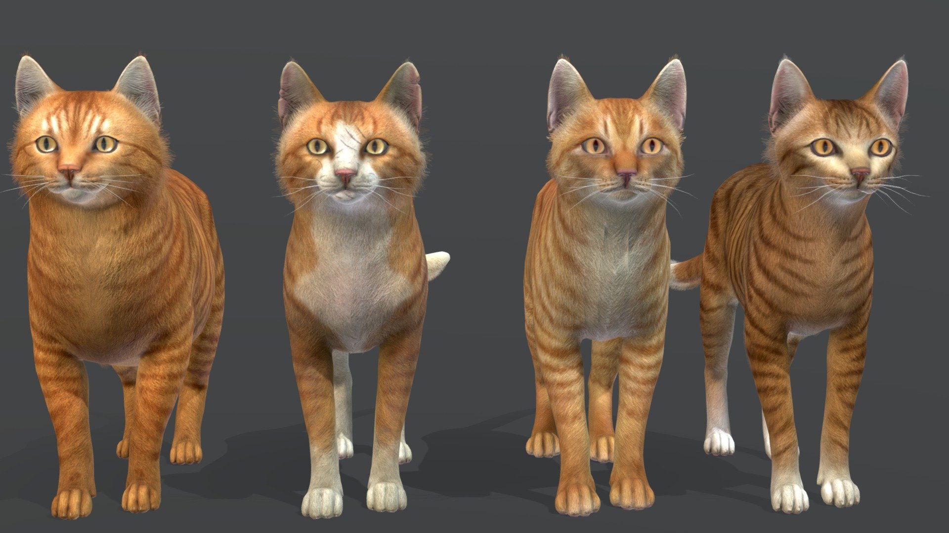 Cats Pack 1 - Buy Royalty Free 3D model by RedDeer (@billl90) [7930d61 ...