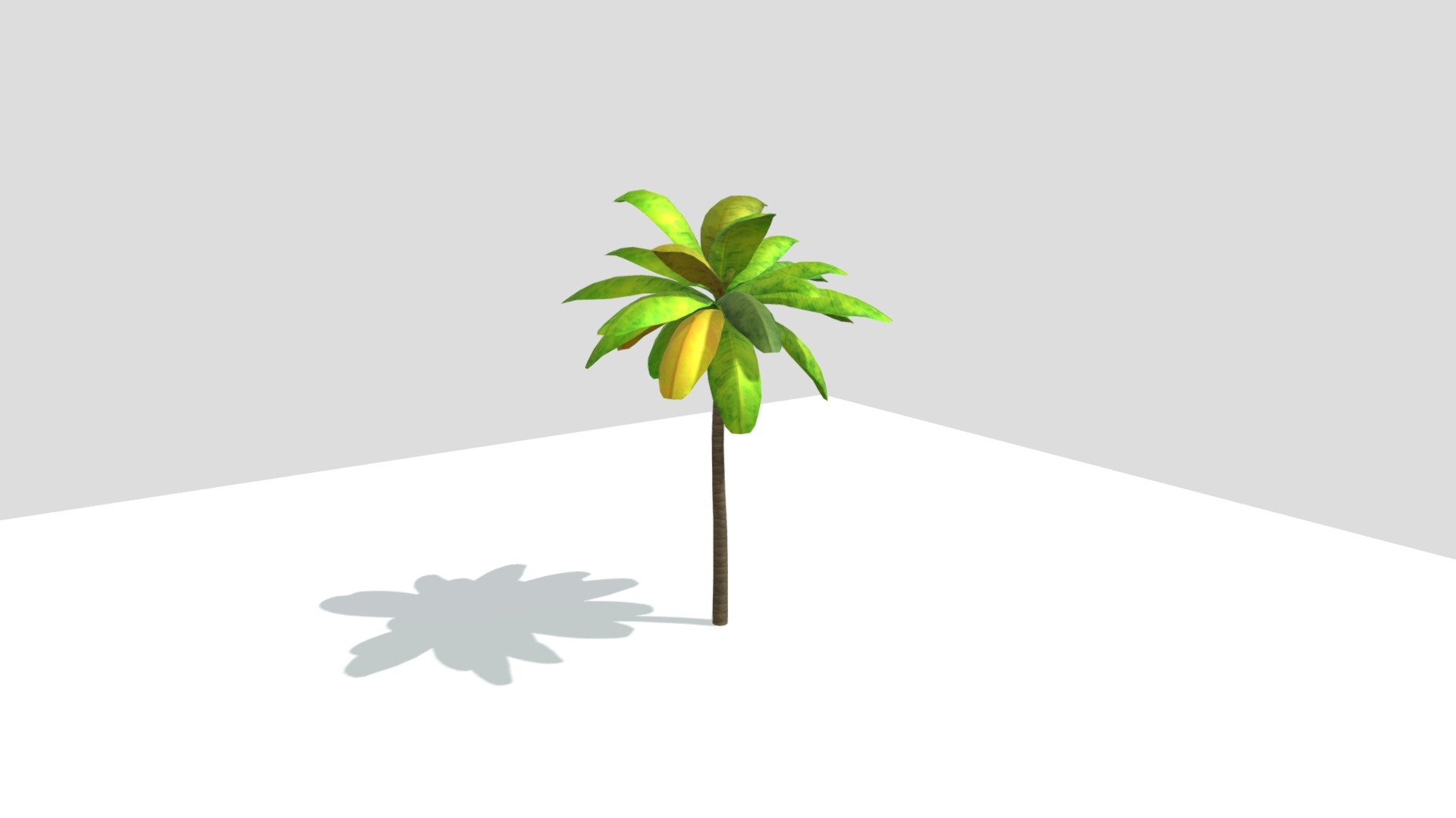 My Palm Tree - Download Free 3D model by diazcarlosjosue1 [7939918 ...