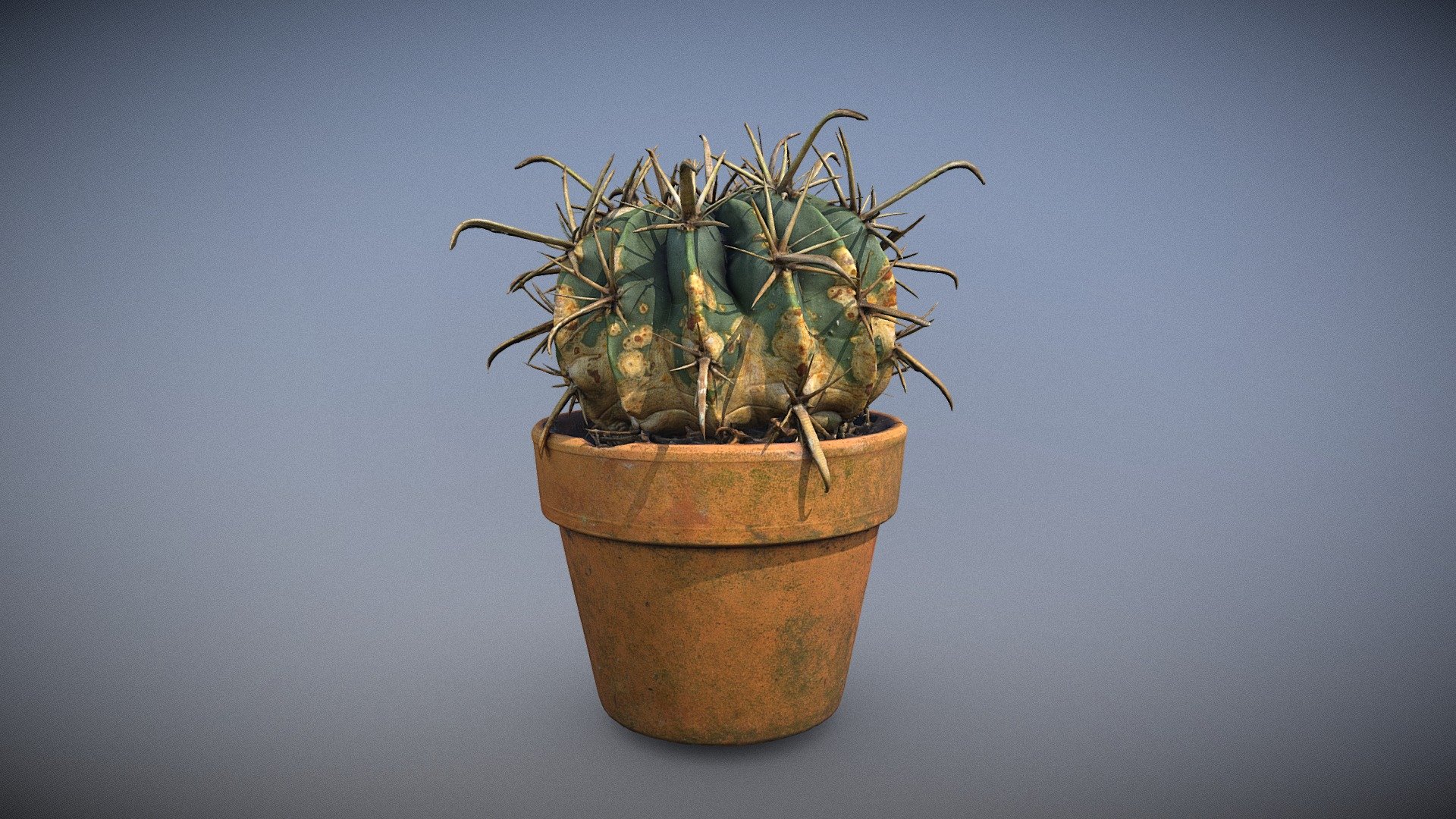 Cactus - Download Free 3D model by Frank McMains (@frankmcmains ...