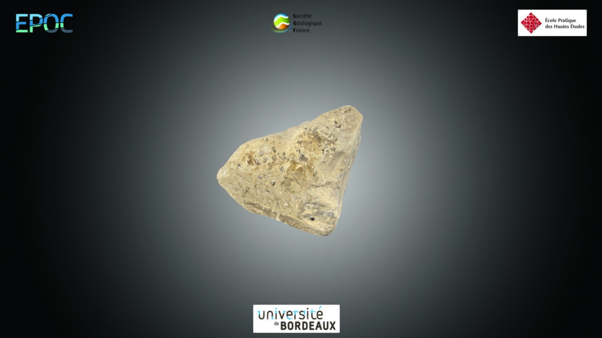 Roche - Marne - Download Free 3D model by Société Géologique de France ...