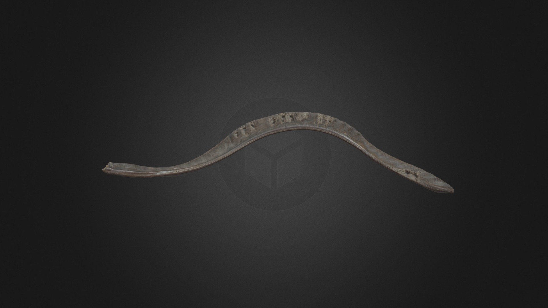 Baobab Seed Pod - Download Free 3D model by ceut [793f241] - Sketchfab