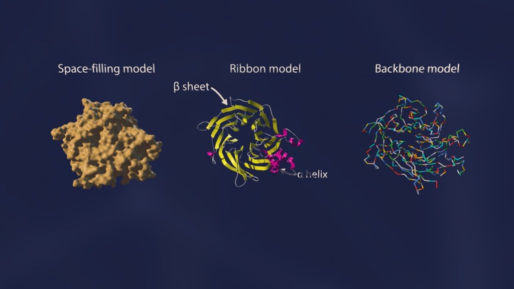 RBBP7 - 3D model by Stowers Institute (@scicomm) [7944c61] - Sketchfab