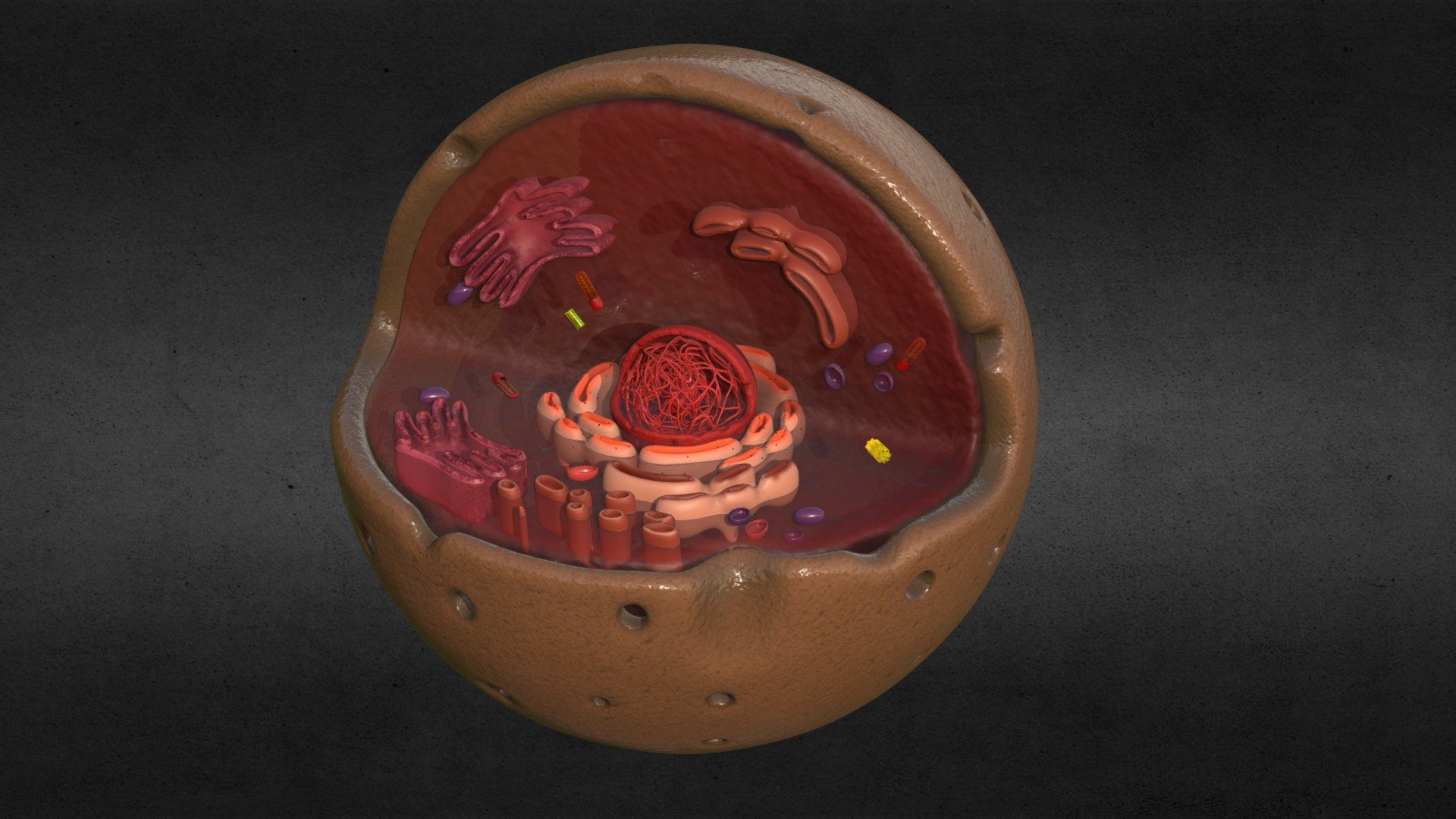 Cell - Buy Royalty Free 3D model by AH (@agher) [7948bc5] - Sketchfab Store