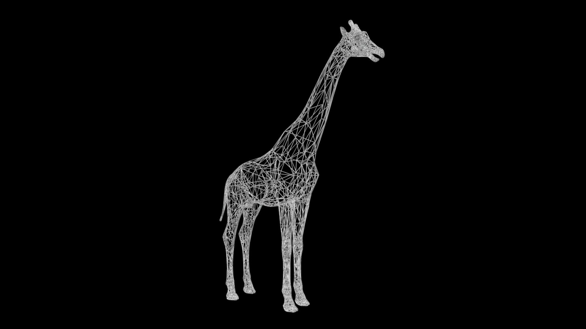 GIRAFFE WIREFRAME - Buy Royalty Free 3D model by DTA DESIGN STUDIO ...