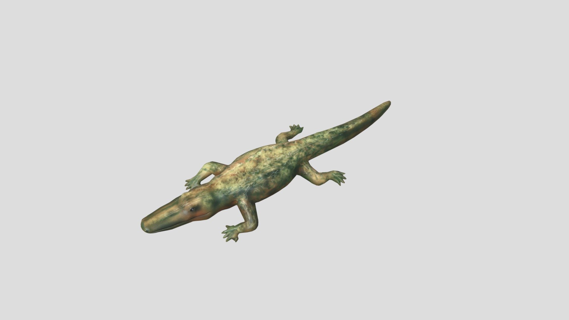 Aligator anim. - 3D model by hana.rehorcikova [7961c07] - Sketchfab