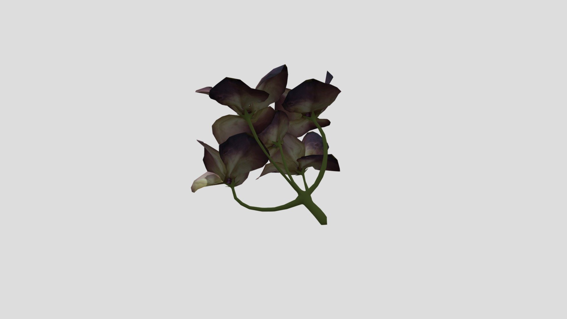 Flower_3DScan_topo - 3D model by ppjaz211081 [79628fc] - Sketchfab