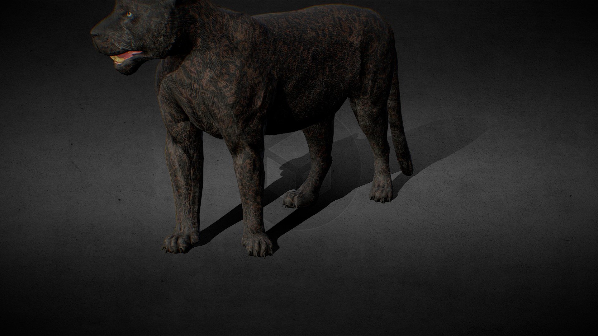 Black leopard Animated riged - Buy Royalty Free 3D model by Kasit ...