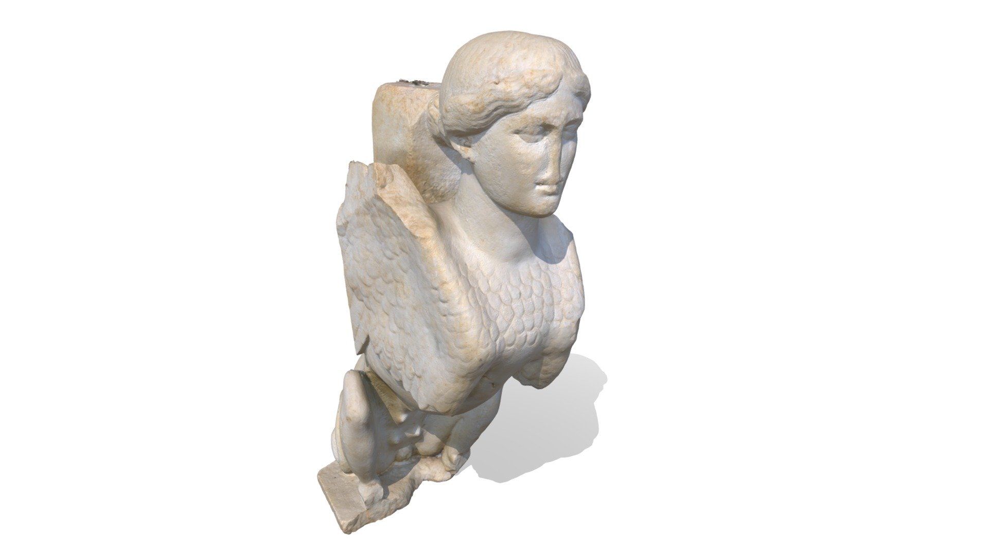Sfinge alata - 3D model by Federico Capriuoli (@federicoscan) [79636ae ...