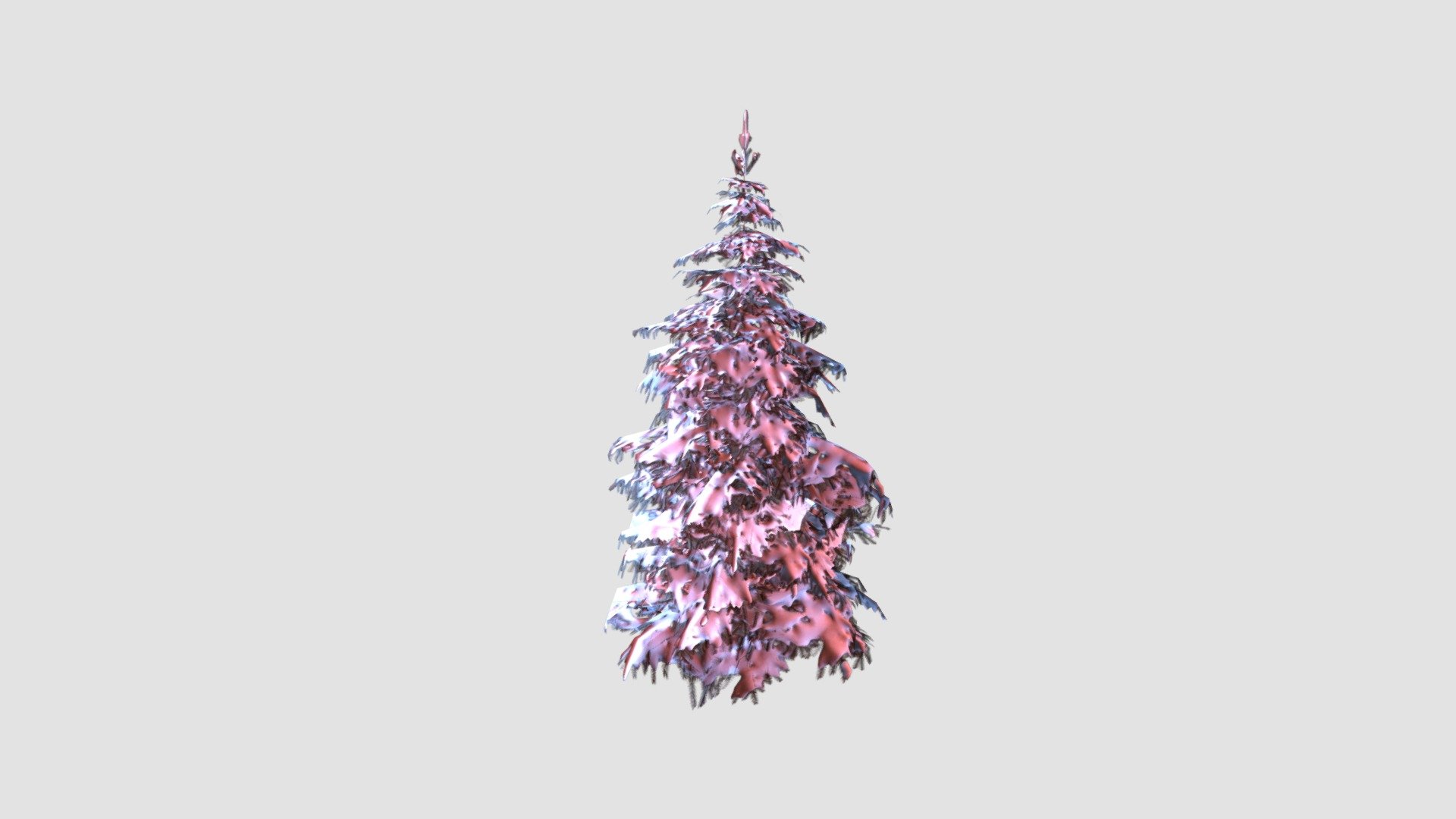 Picea - Buy Royalty Free 3D model by Evermotion [796e3c4] - Sketchfab Store