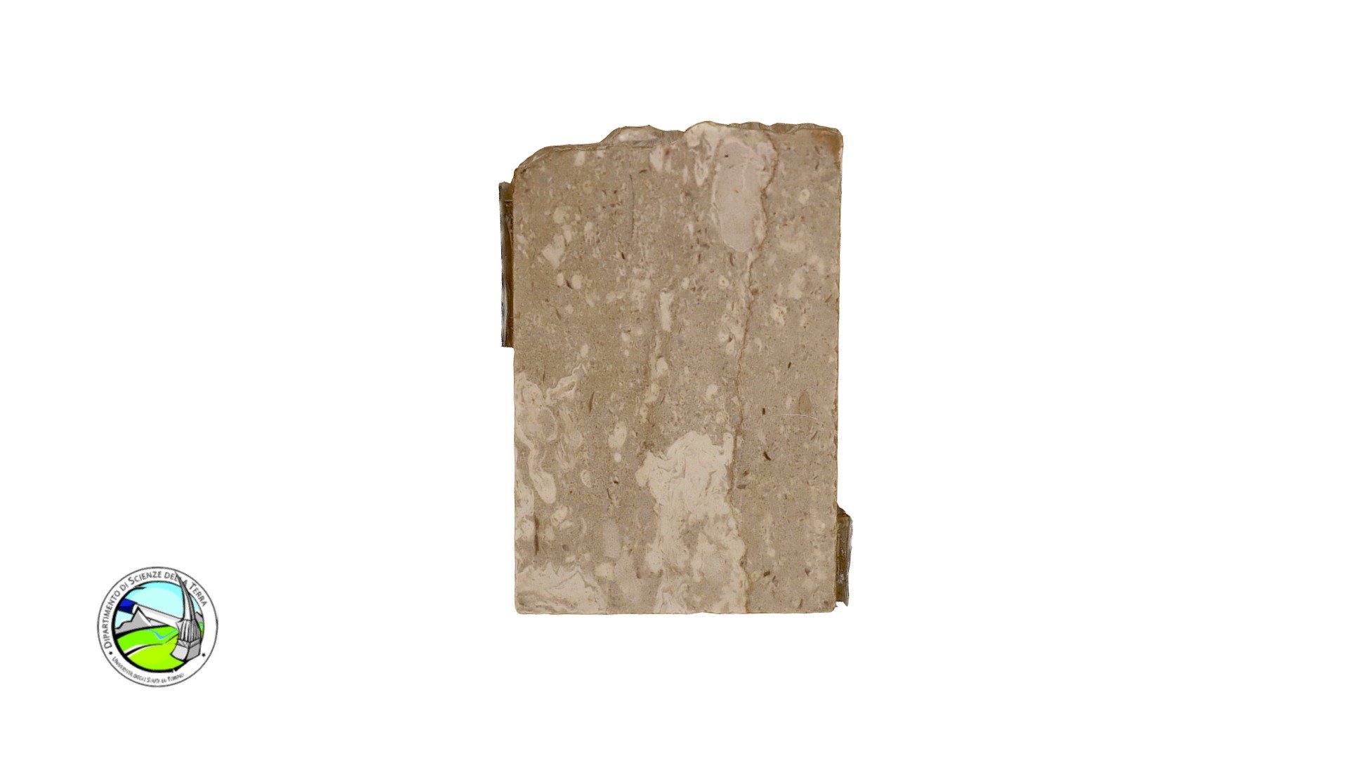 SN22 - Floatstone a rodoliti - 3D model by Dipartimento di Scienze ...