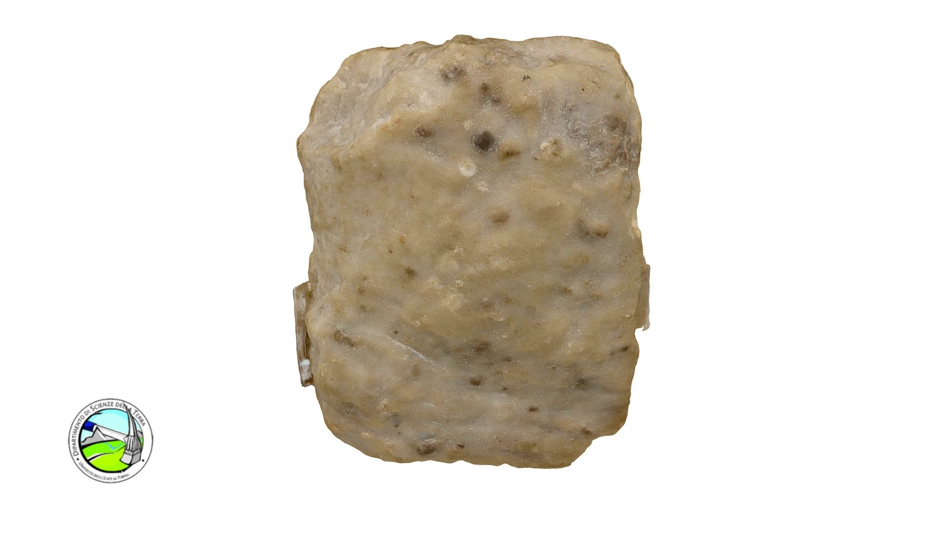 MR137 - Anidrite a struttura saccaroide - 3D model by Dipartimento di ...